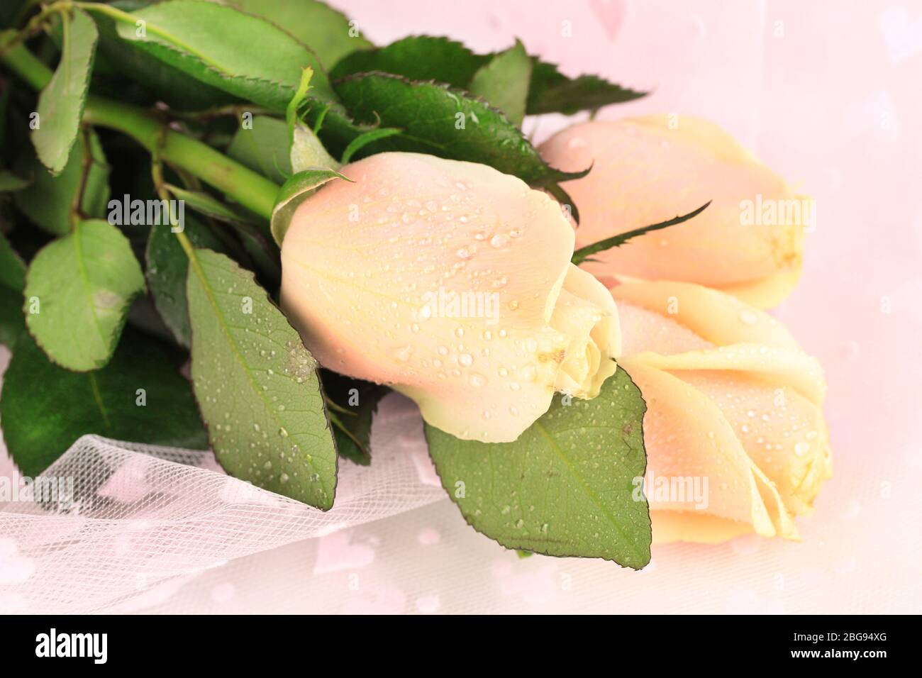 Wet cloth on head hi-res stock photography and images - Alamy