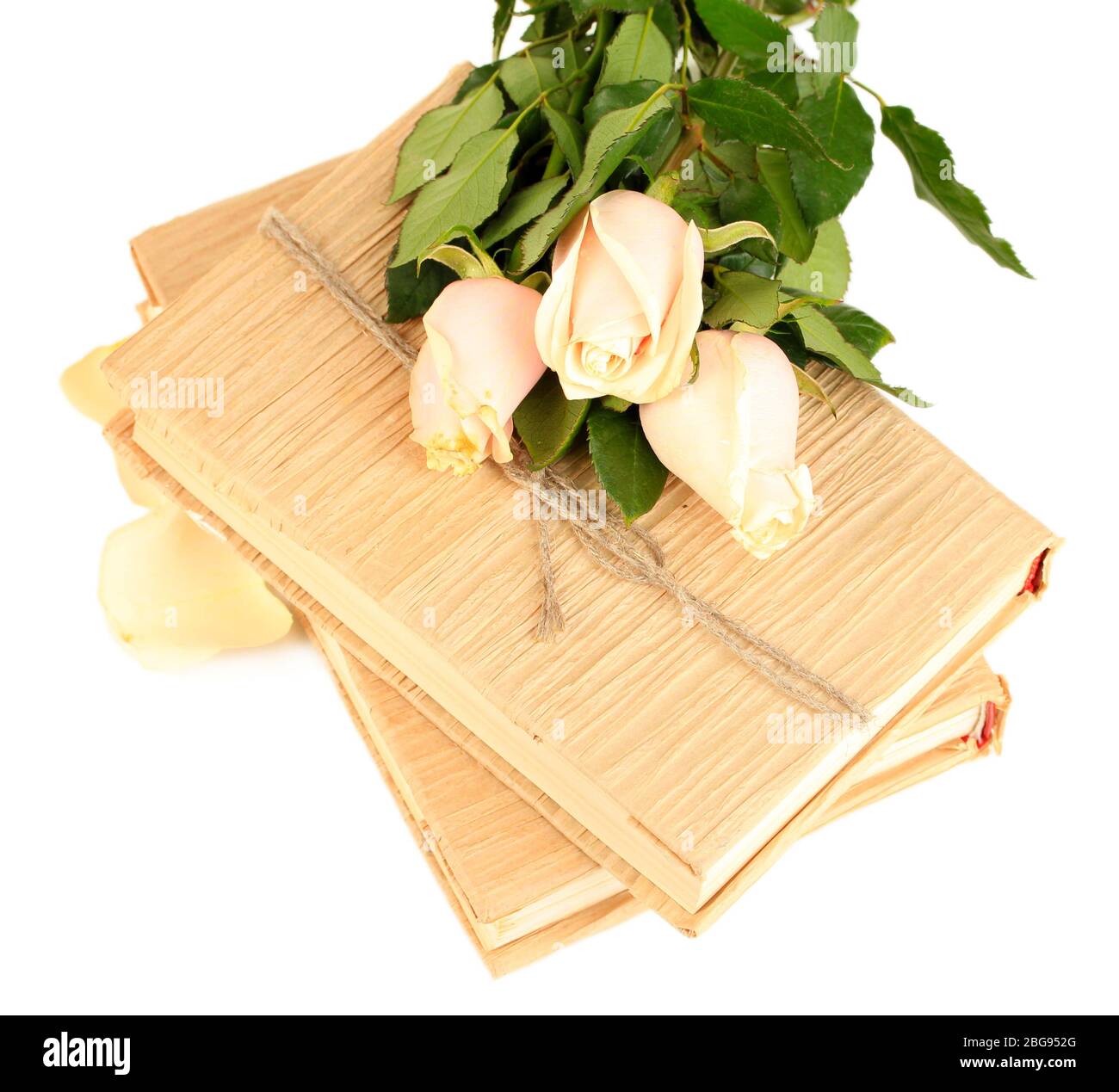 Beautiful bouquet of roses and books, isolated on white Stock Photo - Alamy