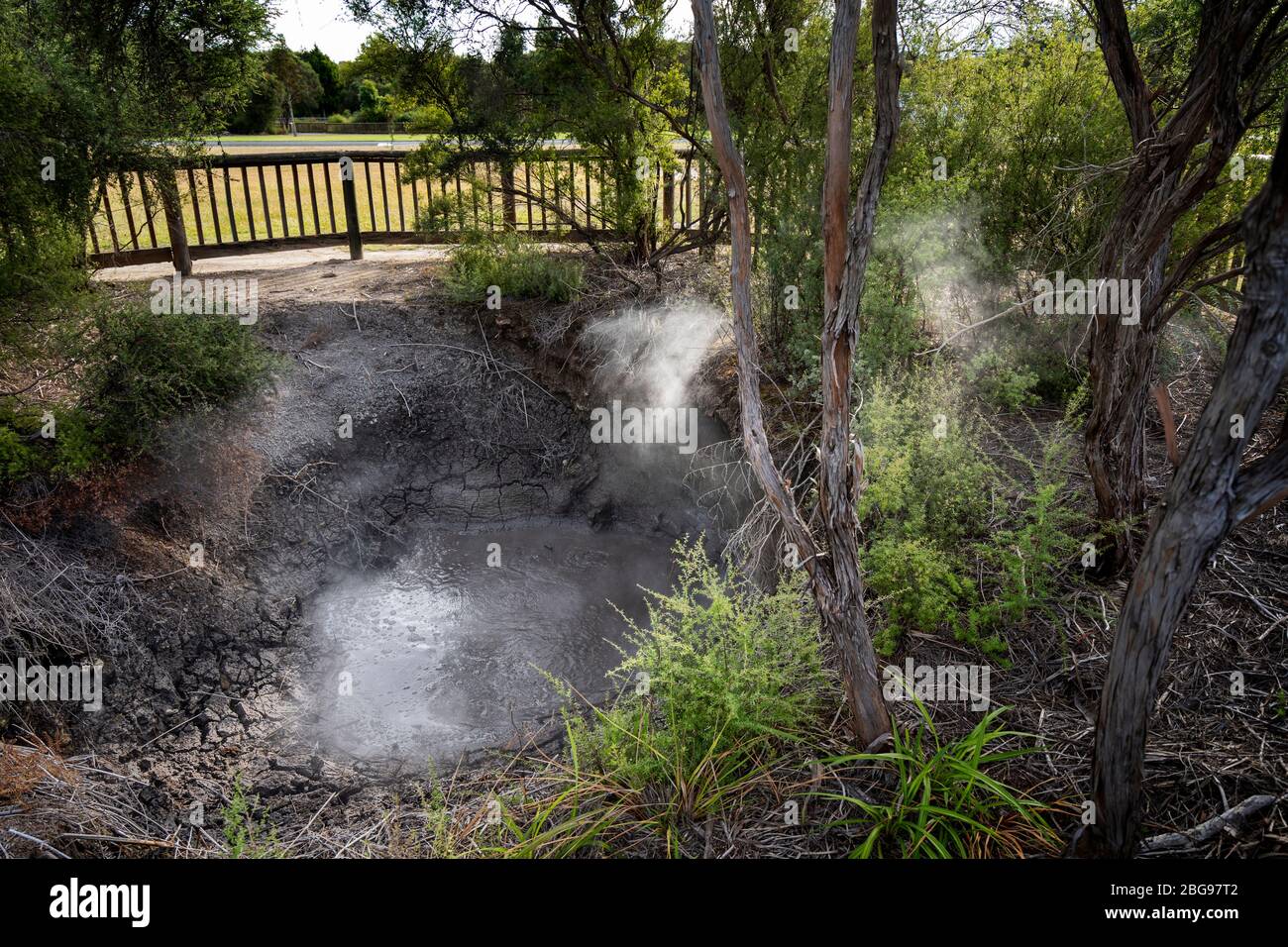 Mud pools at Kuirau Park, Rotorua, North Island, New Zealand Stock ...