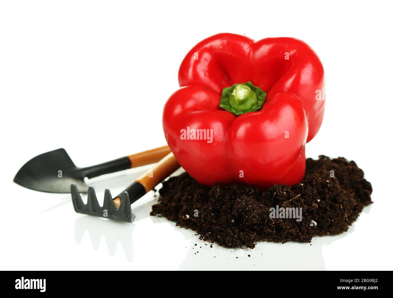 Red pepper with ground isolated on white Stock Photo - Alamy
