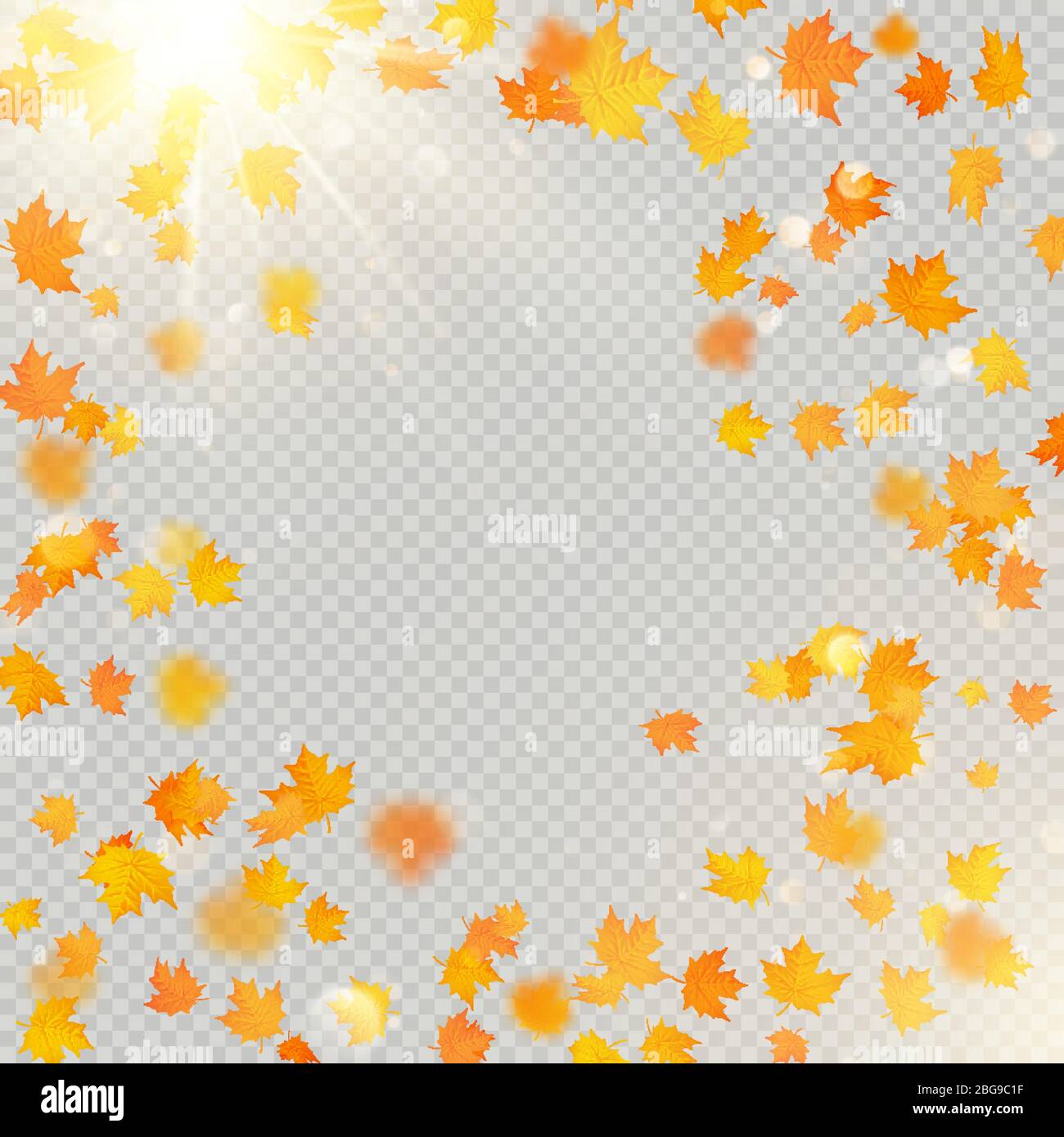 Fall maple leaves frame with delicate sun for decoration. Autumn leaves ...