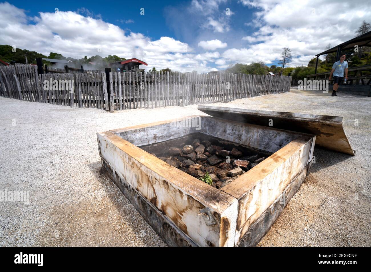 Cooking pit using geothermal heat, Whakarewarewa Valley, Rotorua, North ...