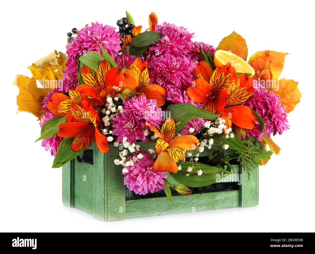 Gypsophila flowers green leaves Cut Out Stock Images & Pictures - Alamy