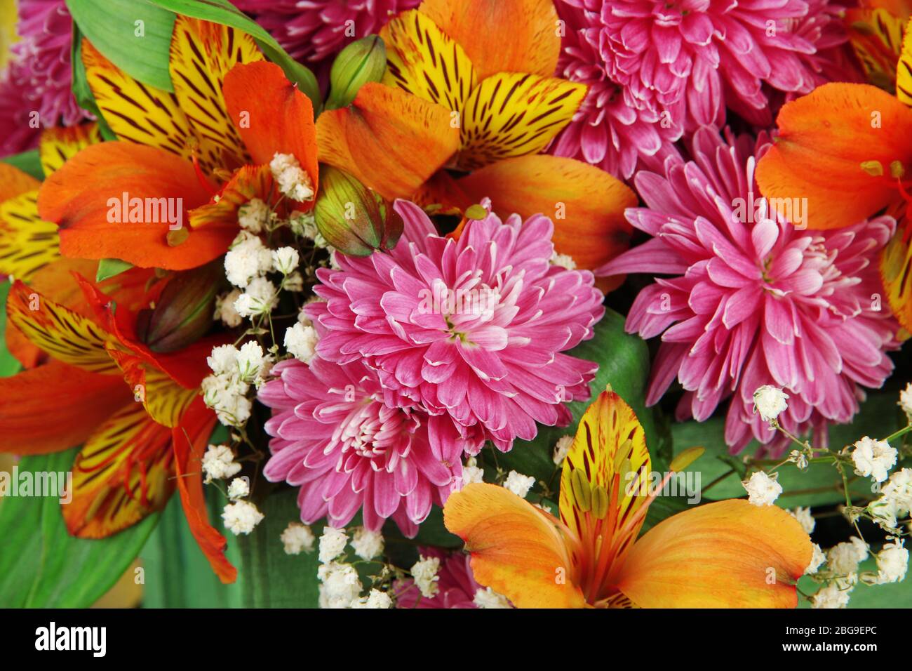 Flowers composition close up Stock Photo - Alamy