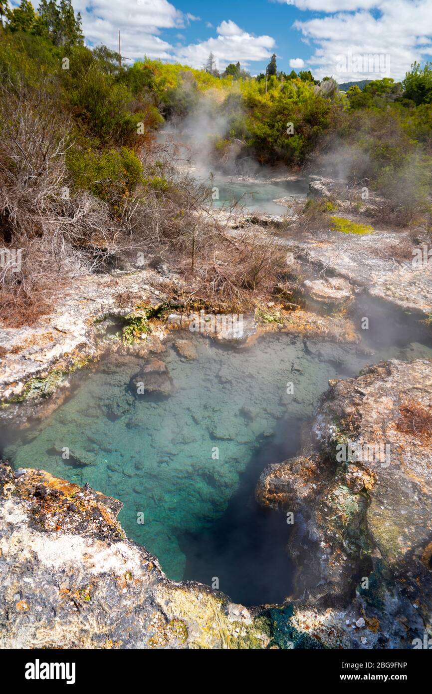 Geothermal activity new zealand hi-res stock photography and images - Alamy