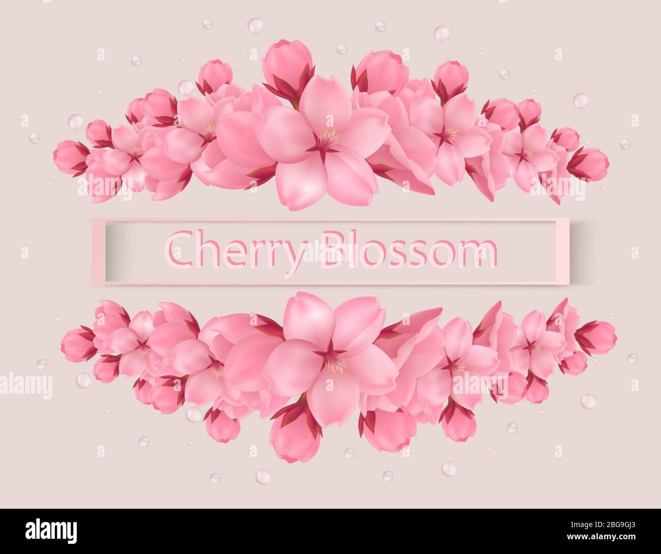 Banner with cherry blossom compositions.Spring or summer design for ...
