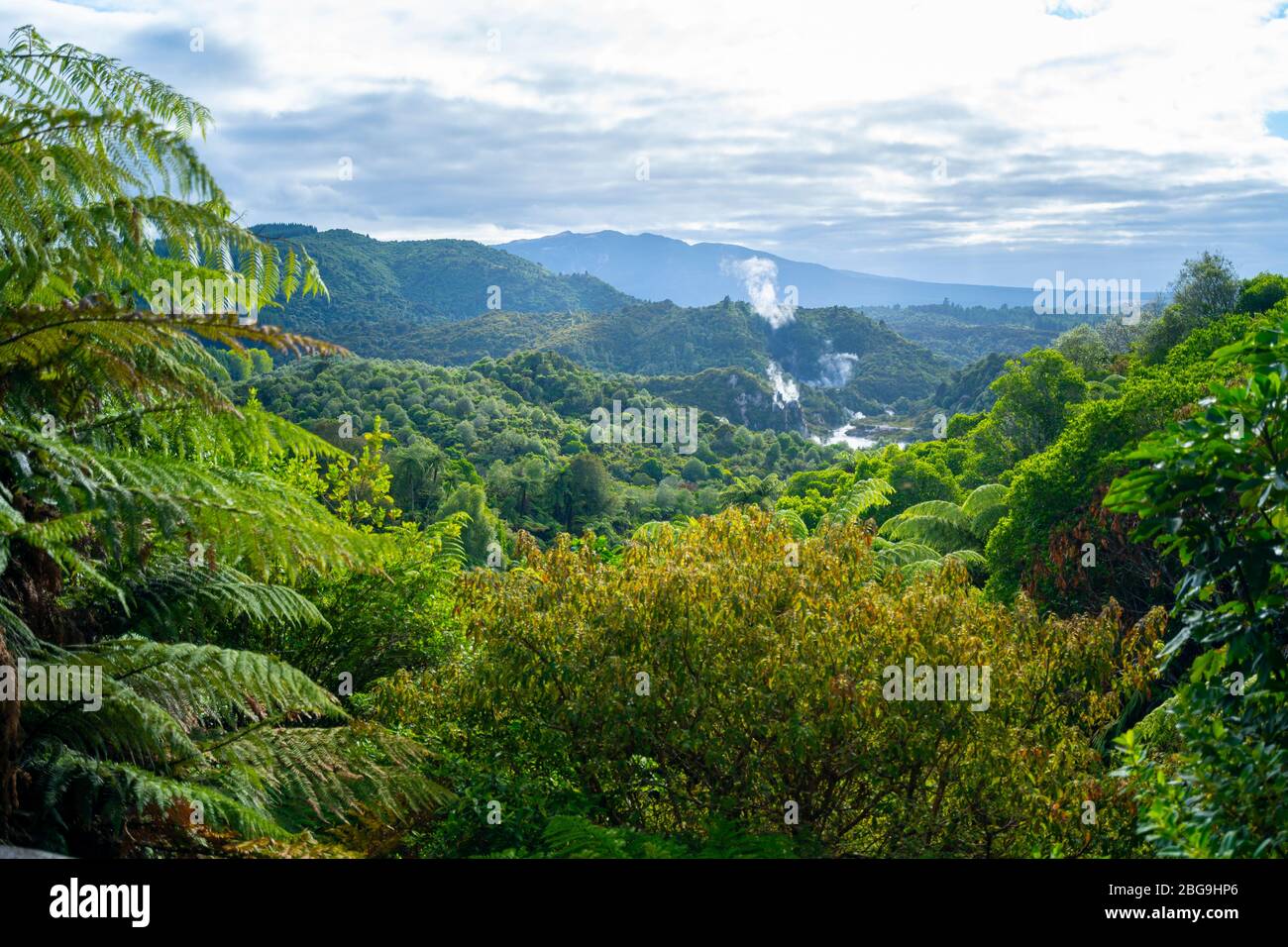 Waimangu Volcanic Valley, Rotorua, North Island, New Zealand Stock ...