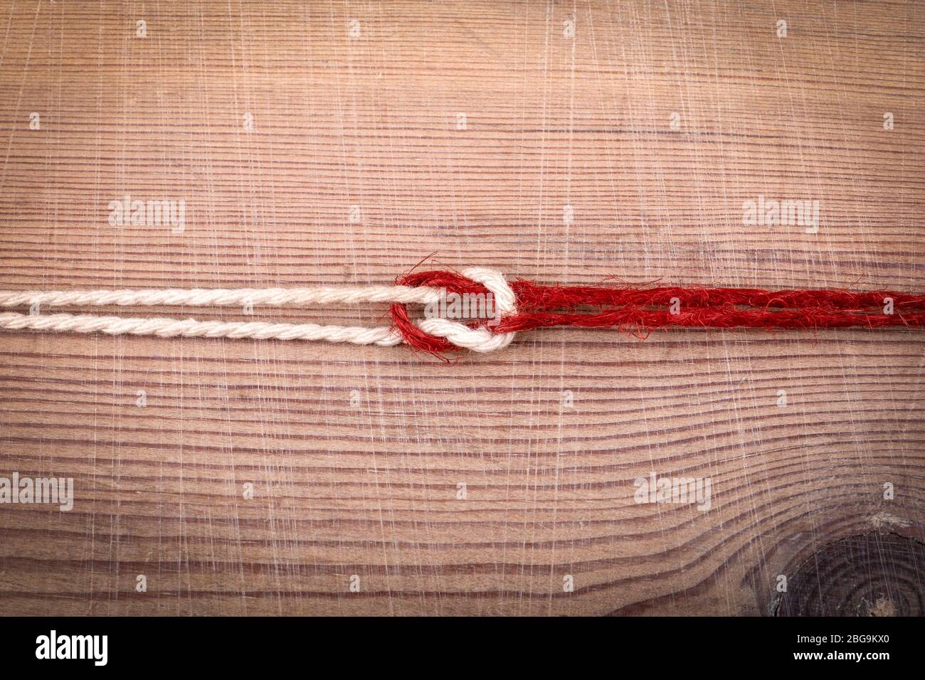 Granny Knot. Example of training and information. Red and white cord on ...