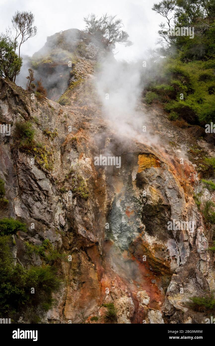 Cathedral Rock, Frying Pan Lake, Waimangu Volcanic Valley, Rotorua ...