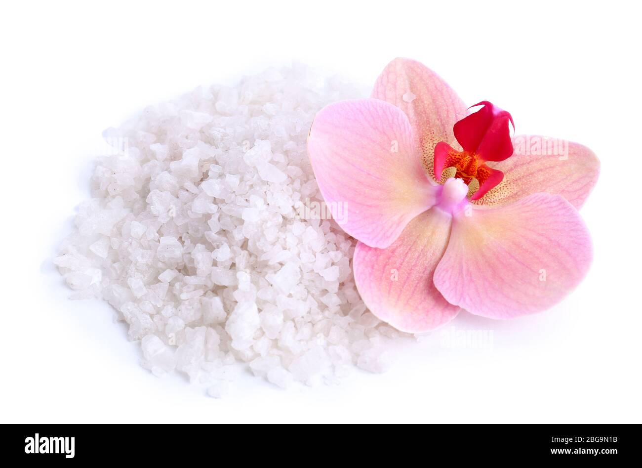 Beautiful blooming orchid flower and heap of sea salt, isolated on ...