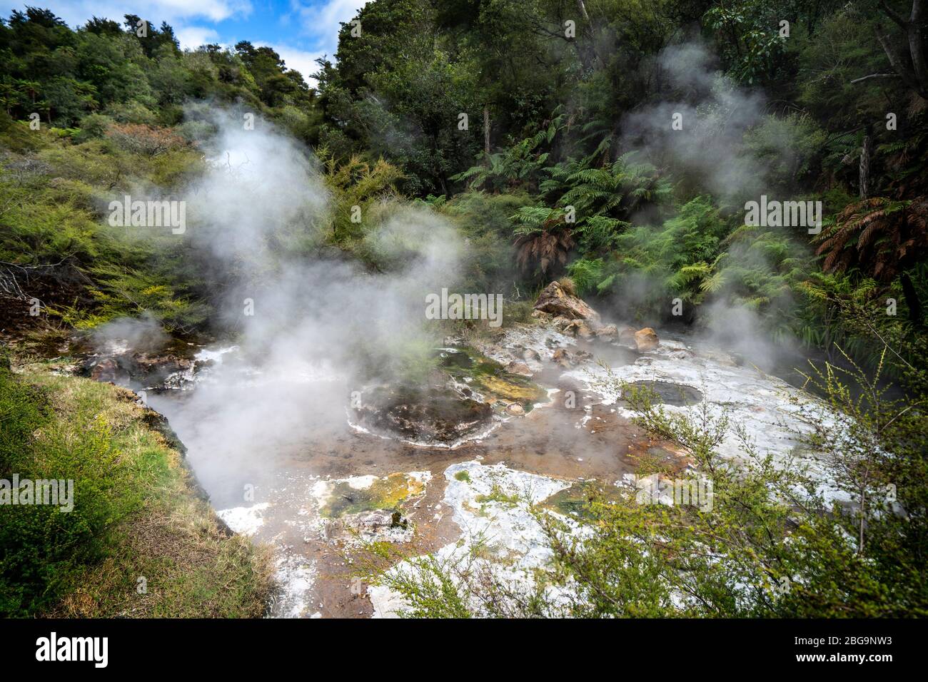 Waimangu Volcanic Valley, Rotorua, North Island, New Zealand Stock ...