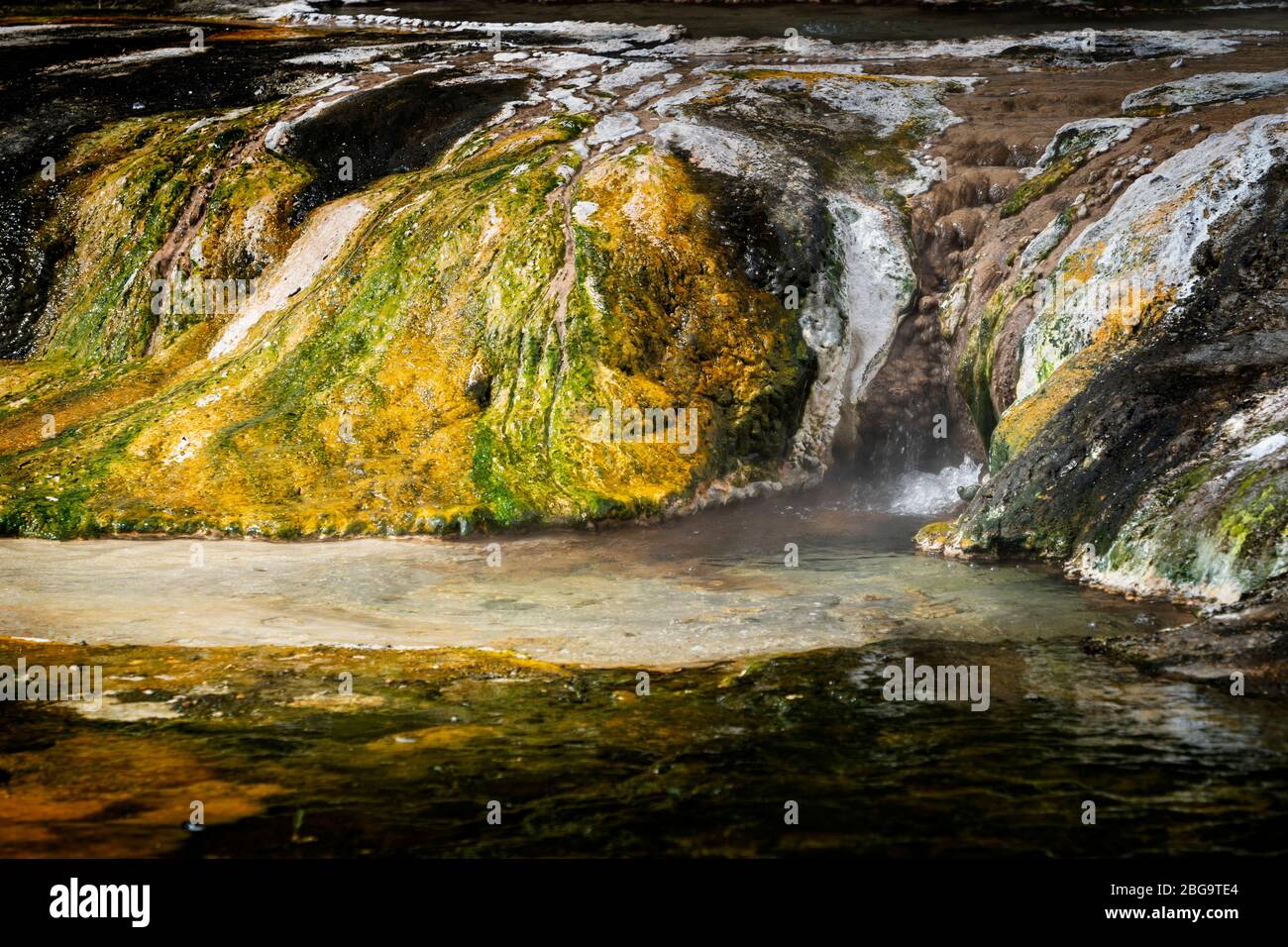 Warbrick Terrace, Waimangu Volcanic Valley, Rotorua, North Island, New ...