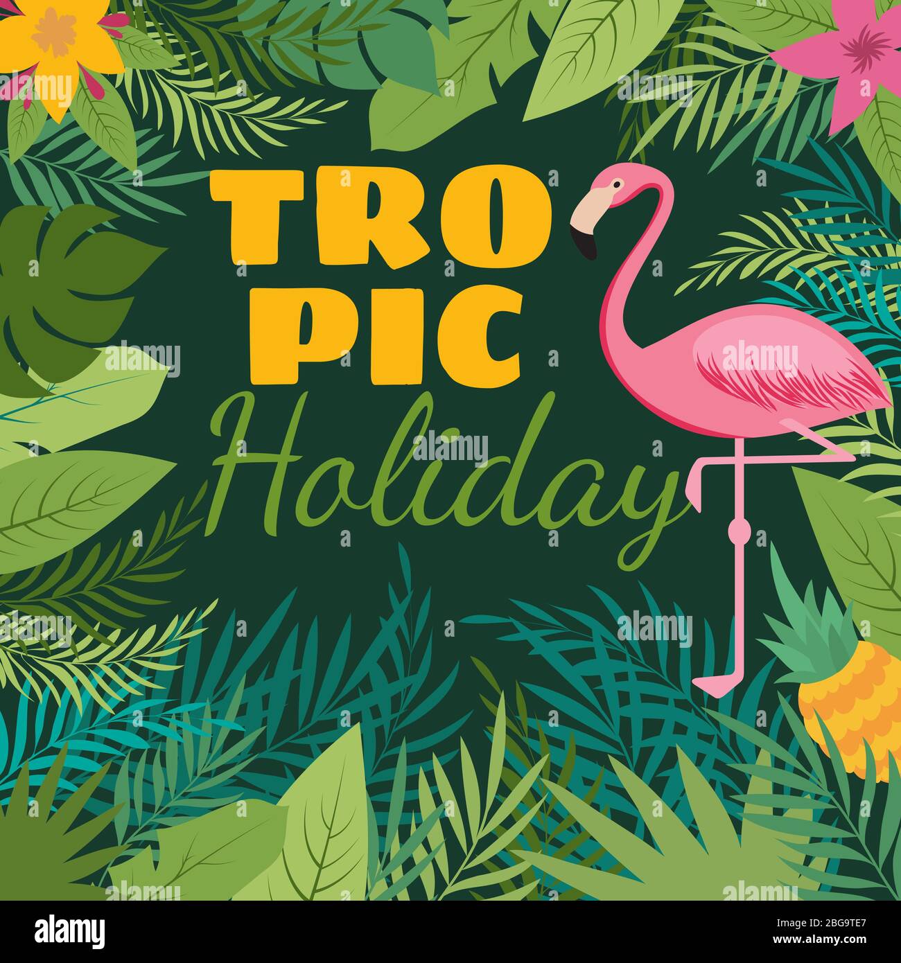 Graphic bird paradise tropical Stock Vector Images - Alamy