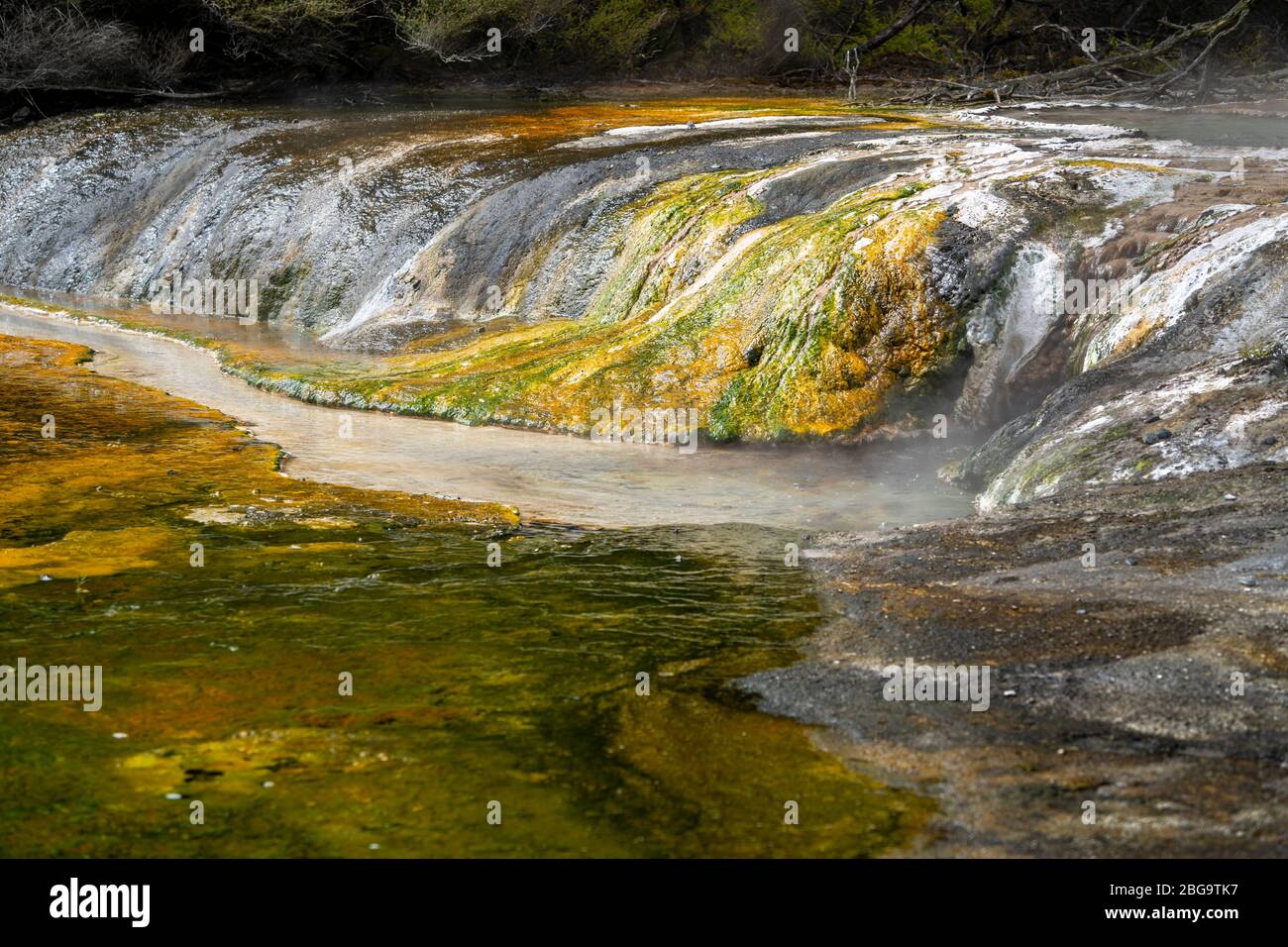 Warbrick Terrace, Waimangu Volcanic Valley, Rotorua, North Island, New ...
