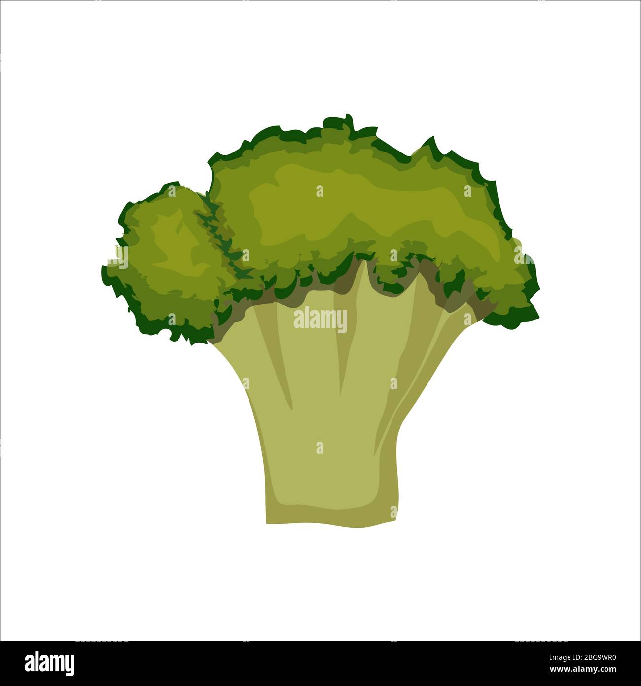 Broccoli icon. Flat illustration of broccoli vector icon isolated on ...
