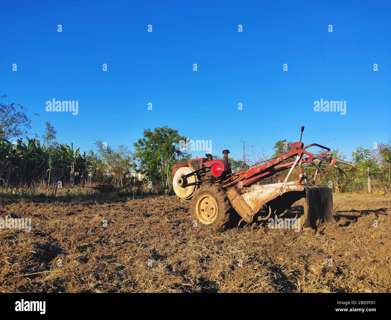Hand Farming Mini Tractor on farming land. Motor-cultivator at the ...