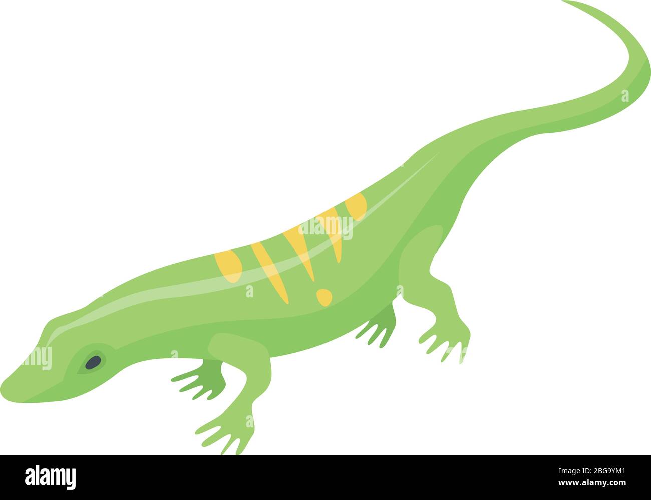 Striped green lizard icon, isometric style Stock Vector Image & Art - Alamy