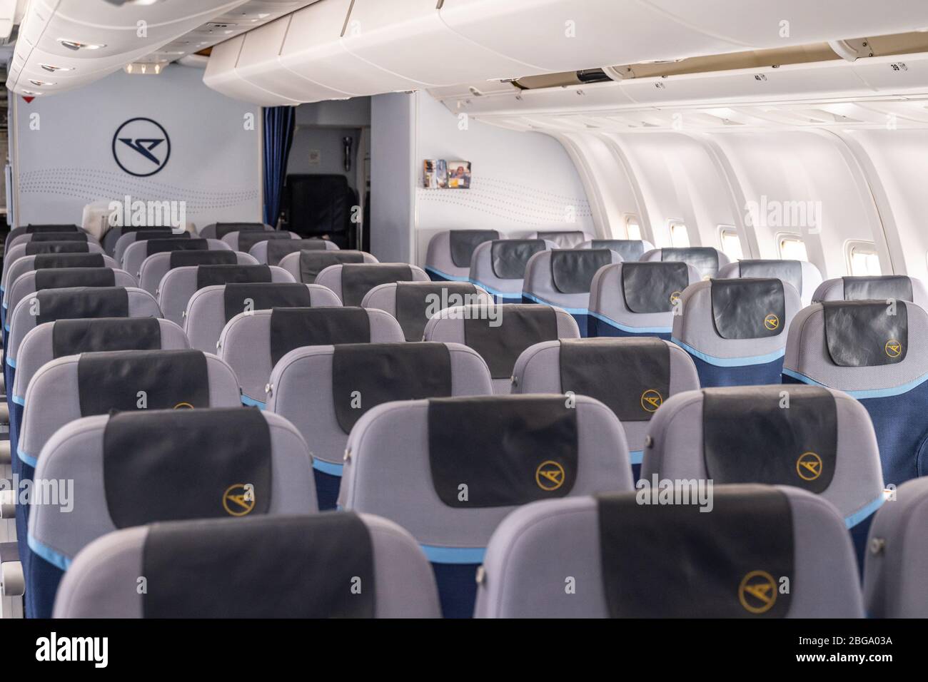 Frankfurt Germany 18.11.19 Condor Air airplane interior seat rows with ...