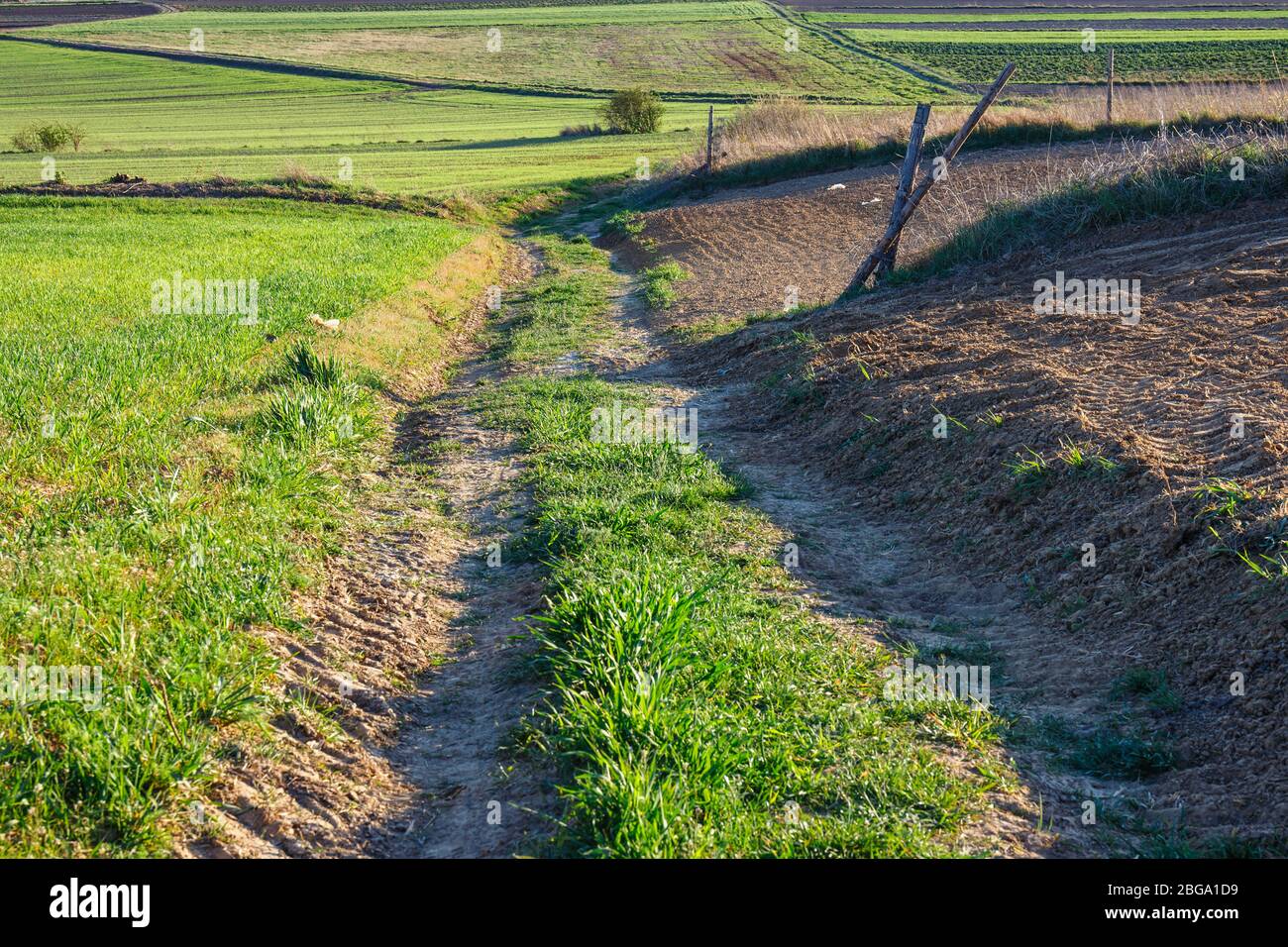 Valley through wheat fields hi-res stock photography and images - Alamy