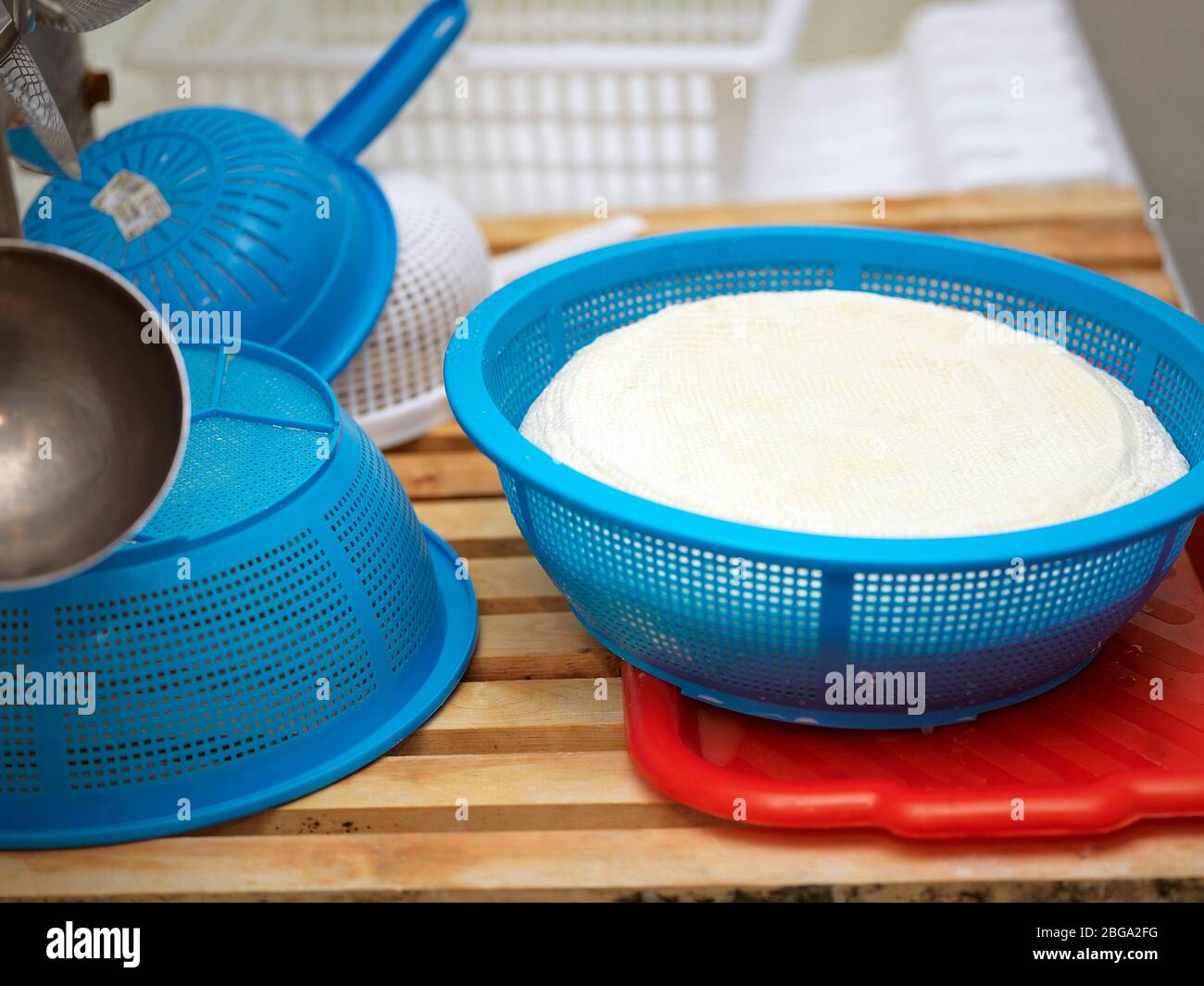 Collection of plastic colanders with cottage cheese in one of them ...