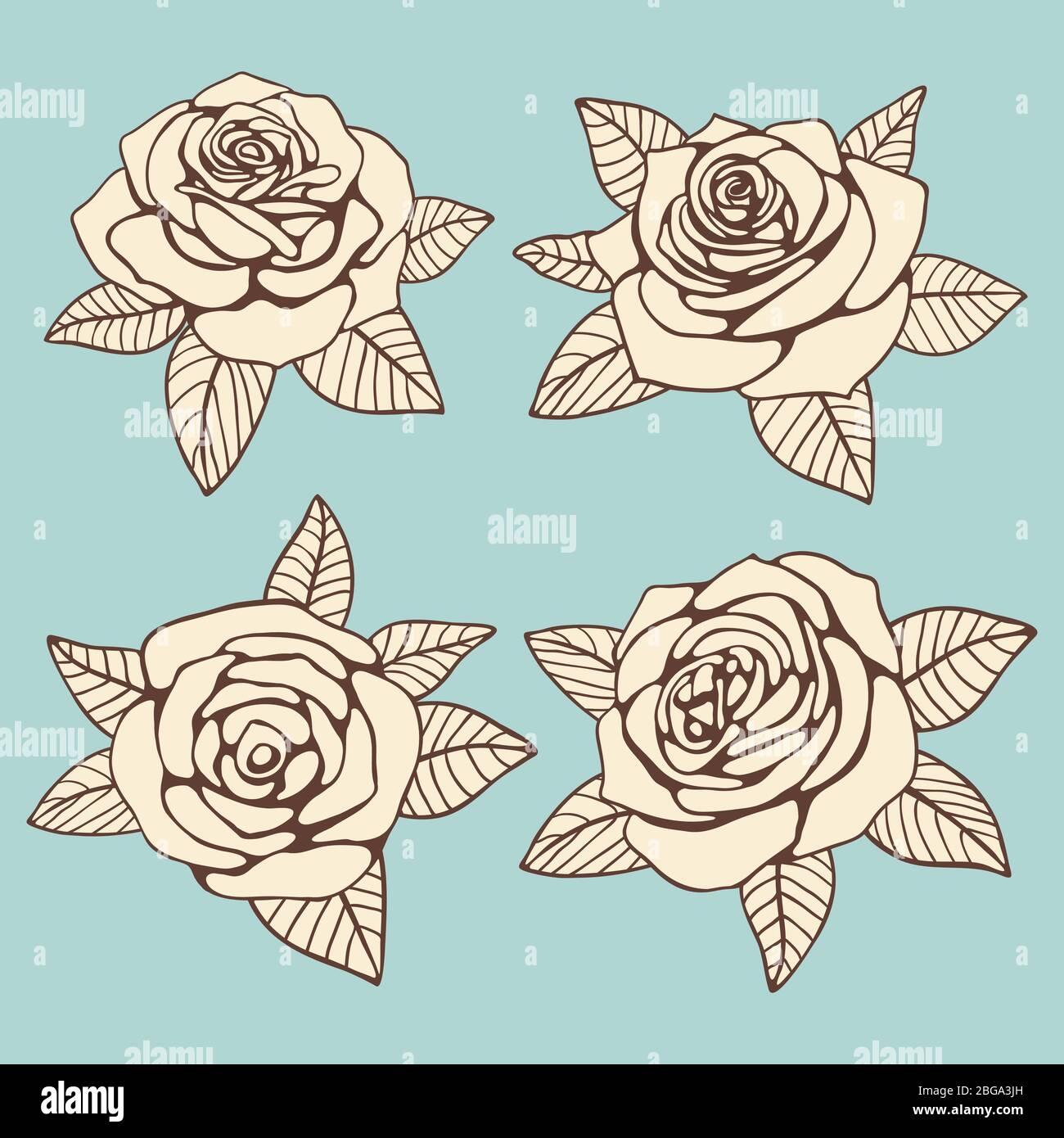 Rose vintage drawing hi-res stock photography and images - Alamy