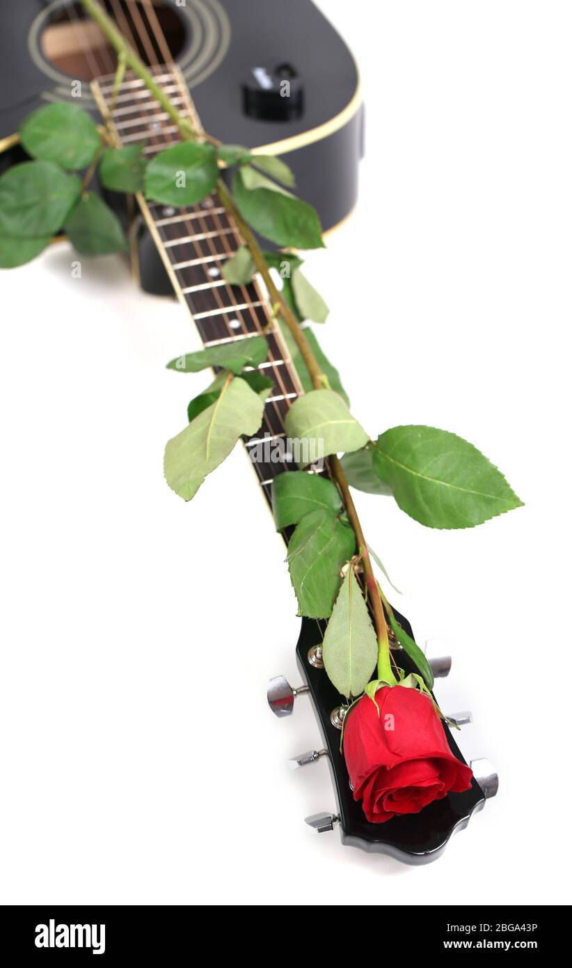 Acoustic guitar and red rose flower, isolated on white Stock Photo - Alamy