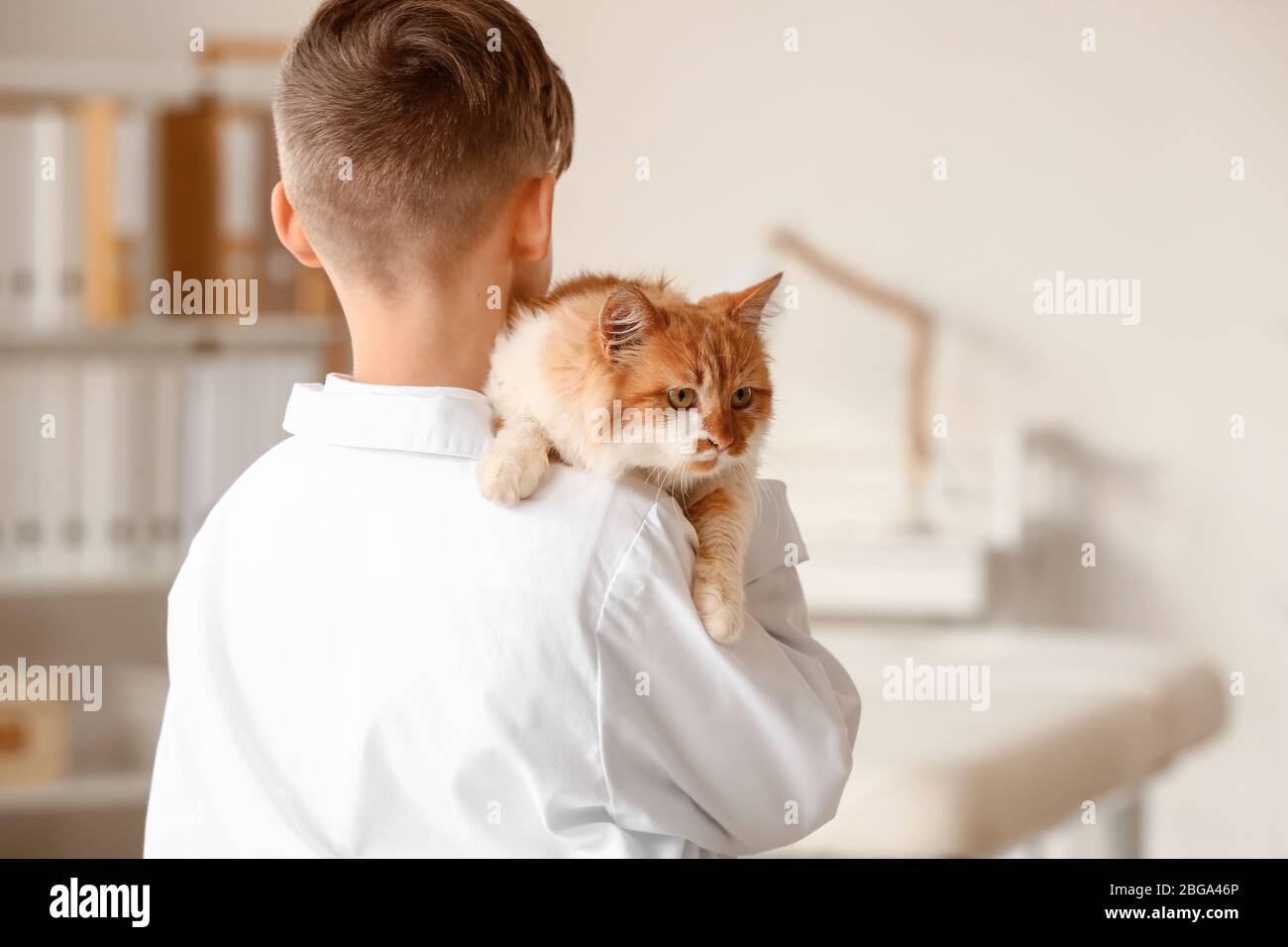 Little veterinarian with cute cat in clinic Stock Photo - Alamy