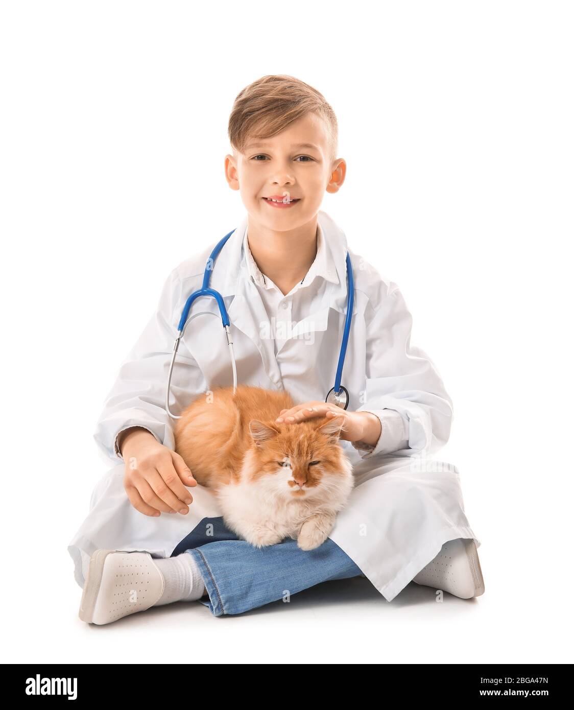 Little veterinarian with cute cat on white background Stock Photo - Alamy