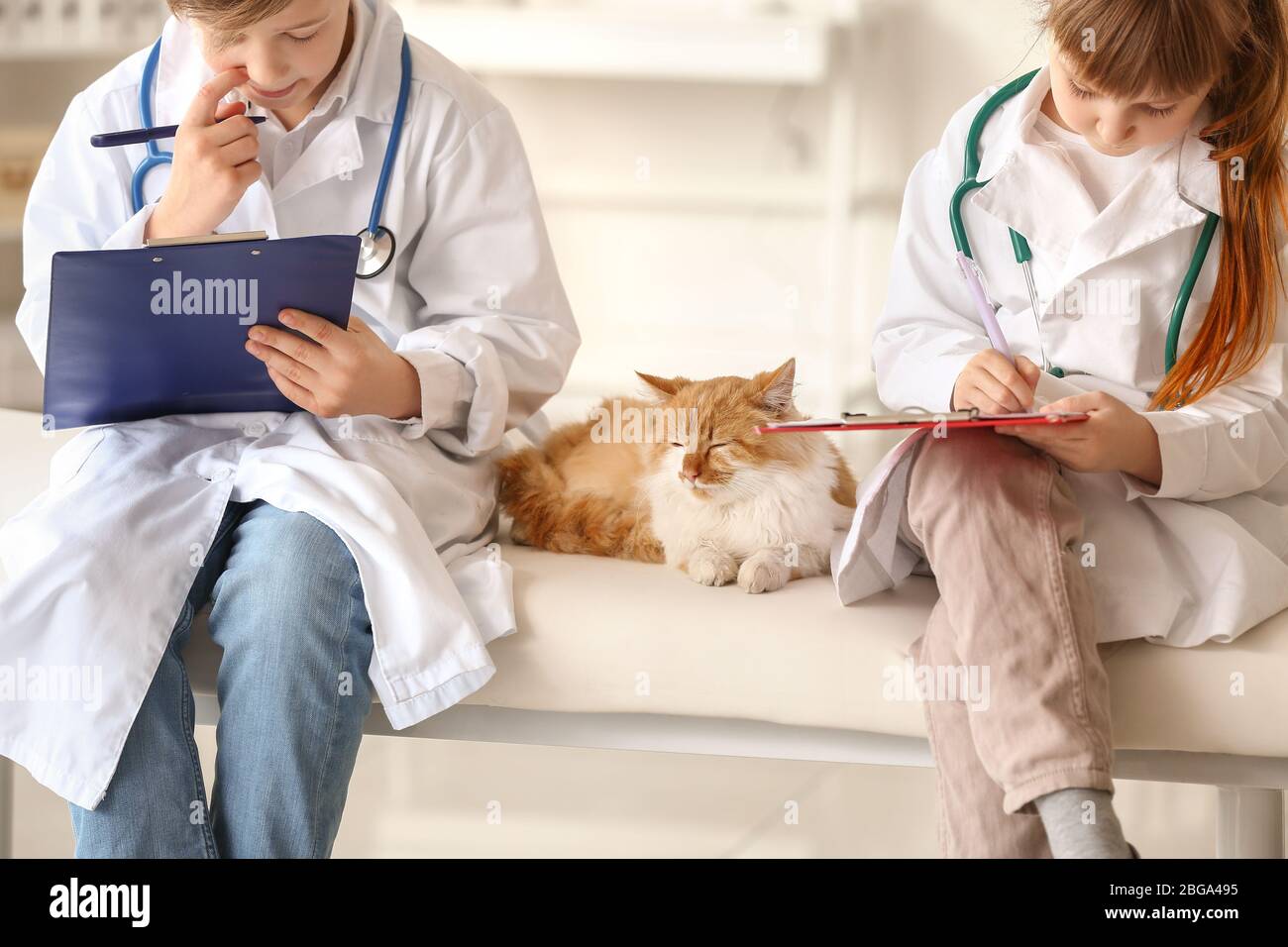 Little veterinarians examining cute cat in clinic Stock Photo - Alamy