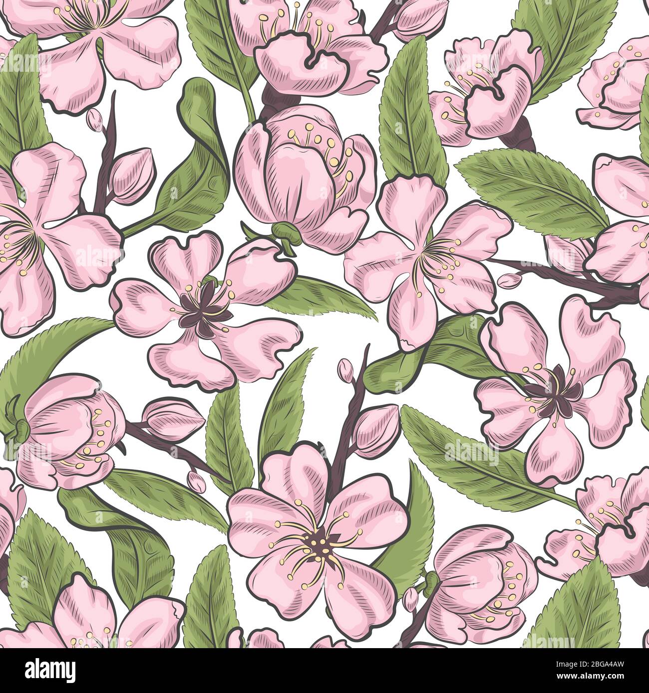 Japanese almond tree Stock Vector Images - Alamy