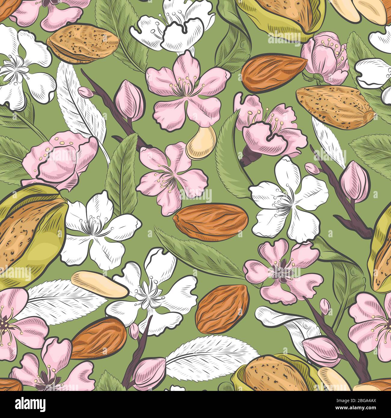 Almond nuts garden Stock Vector Images - Alamy