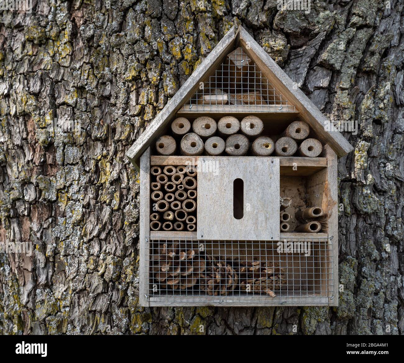 Insect hotel hi-res stock photography and images - Alamy