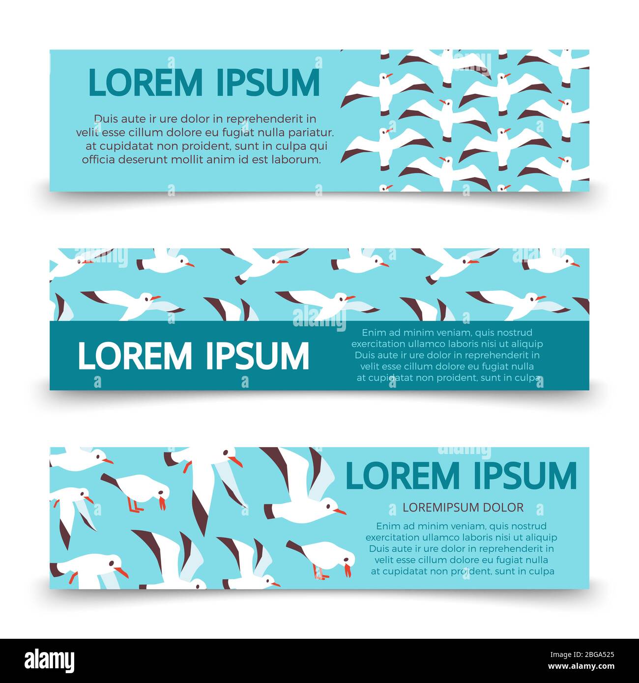 Flat atlantic sea birds banners and poster template design. Vector ...