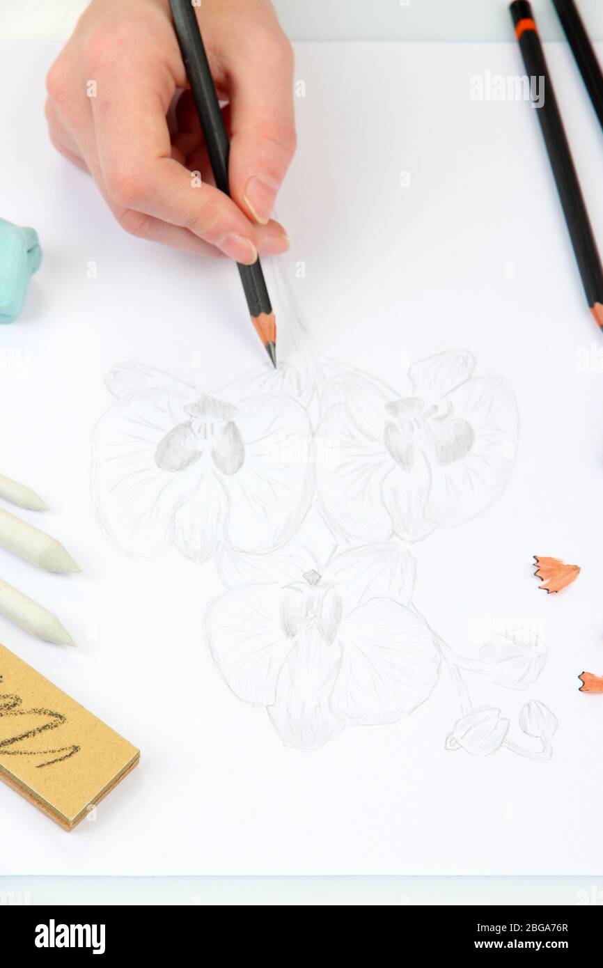 Hand draws a sketch with professional art materials Stock Photo - Alamy