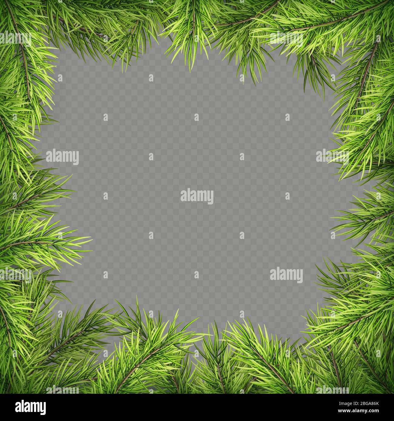 Card invitation congratulation pine Stock Vector Images - Alamy