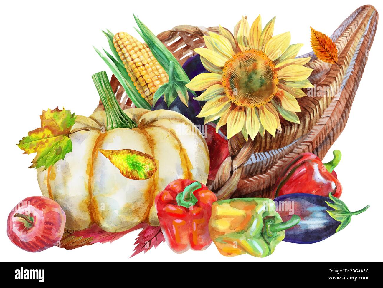 Watercolor cornucopia filled with vegetables and fruits on white ...