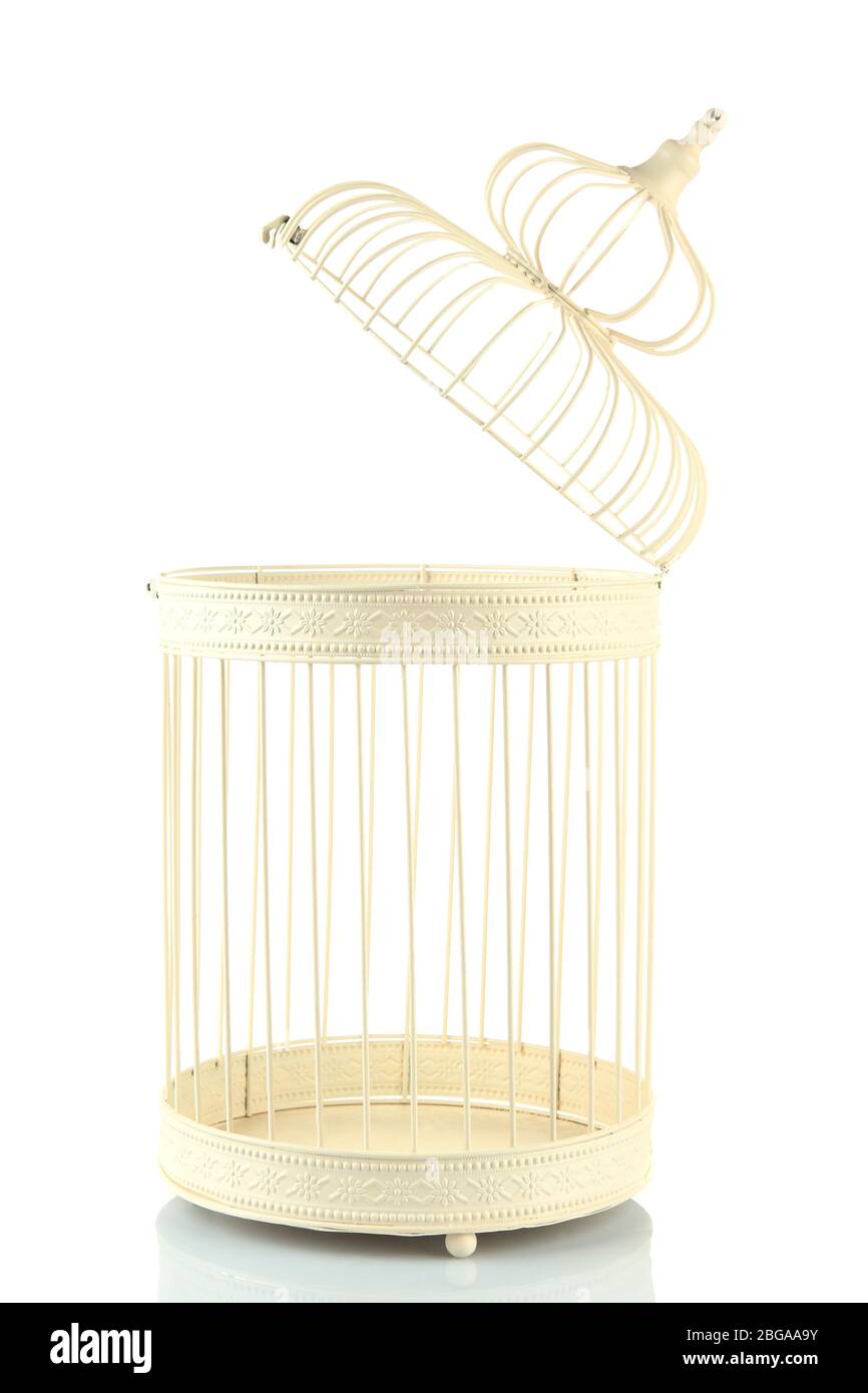 Birdcage captive home hi-res stock photography and images - Alamy