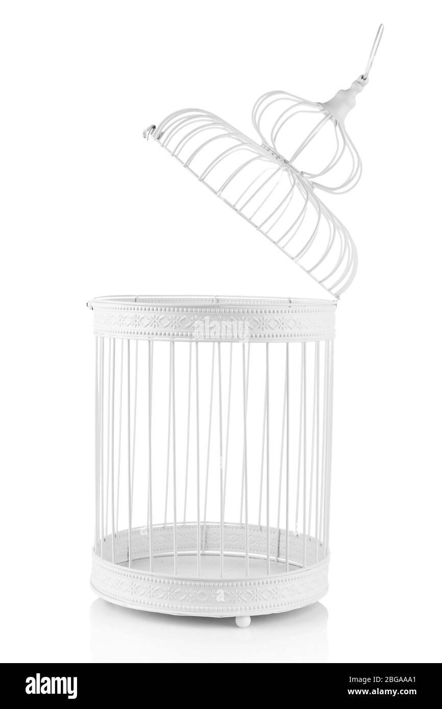 Beautiful decorative cage, isolated on white Stock Photo - Alamy