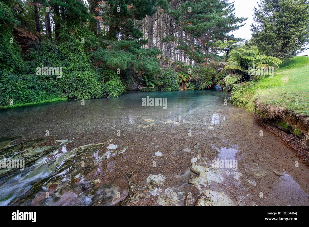 Waihou River, Te Waihou Walkway, North Island, New Zealand Stock Photo ...