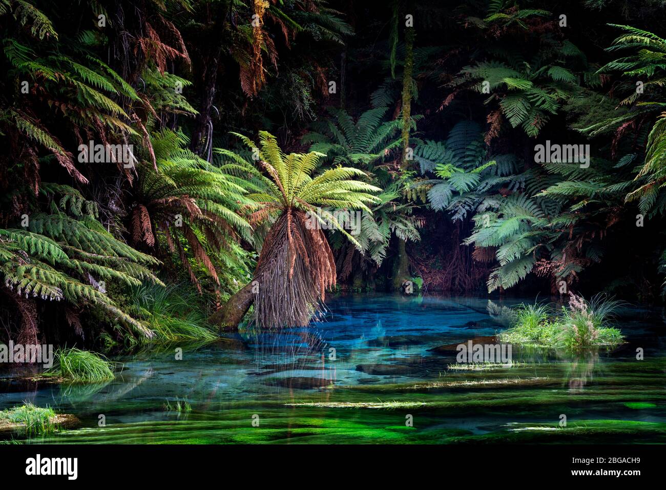 Blue Spring Night Wallpaper