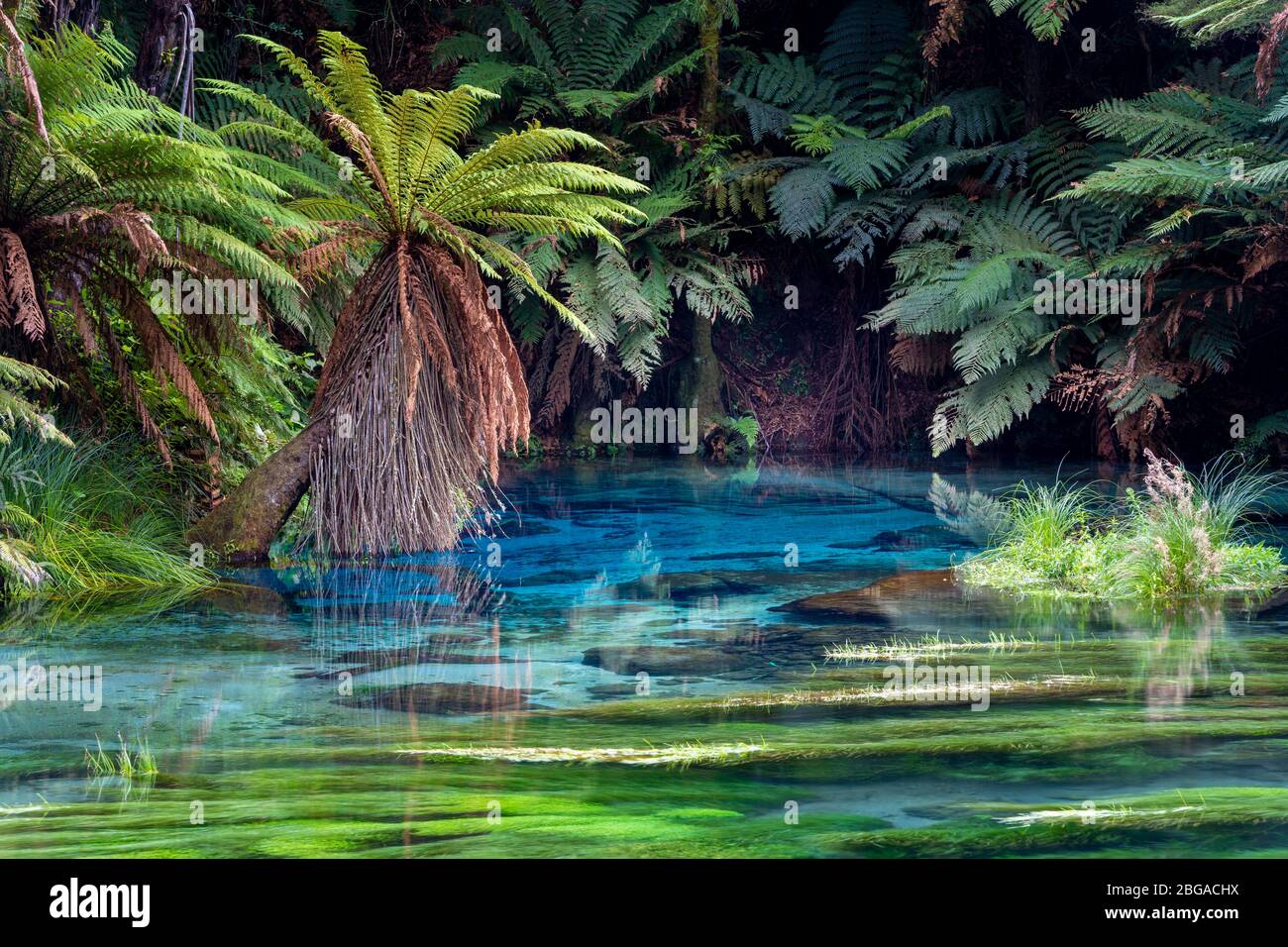 Waikato river conservation new zealand hi-res stock photography and ...