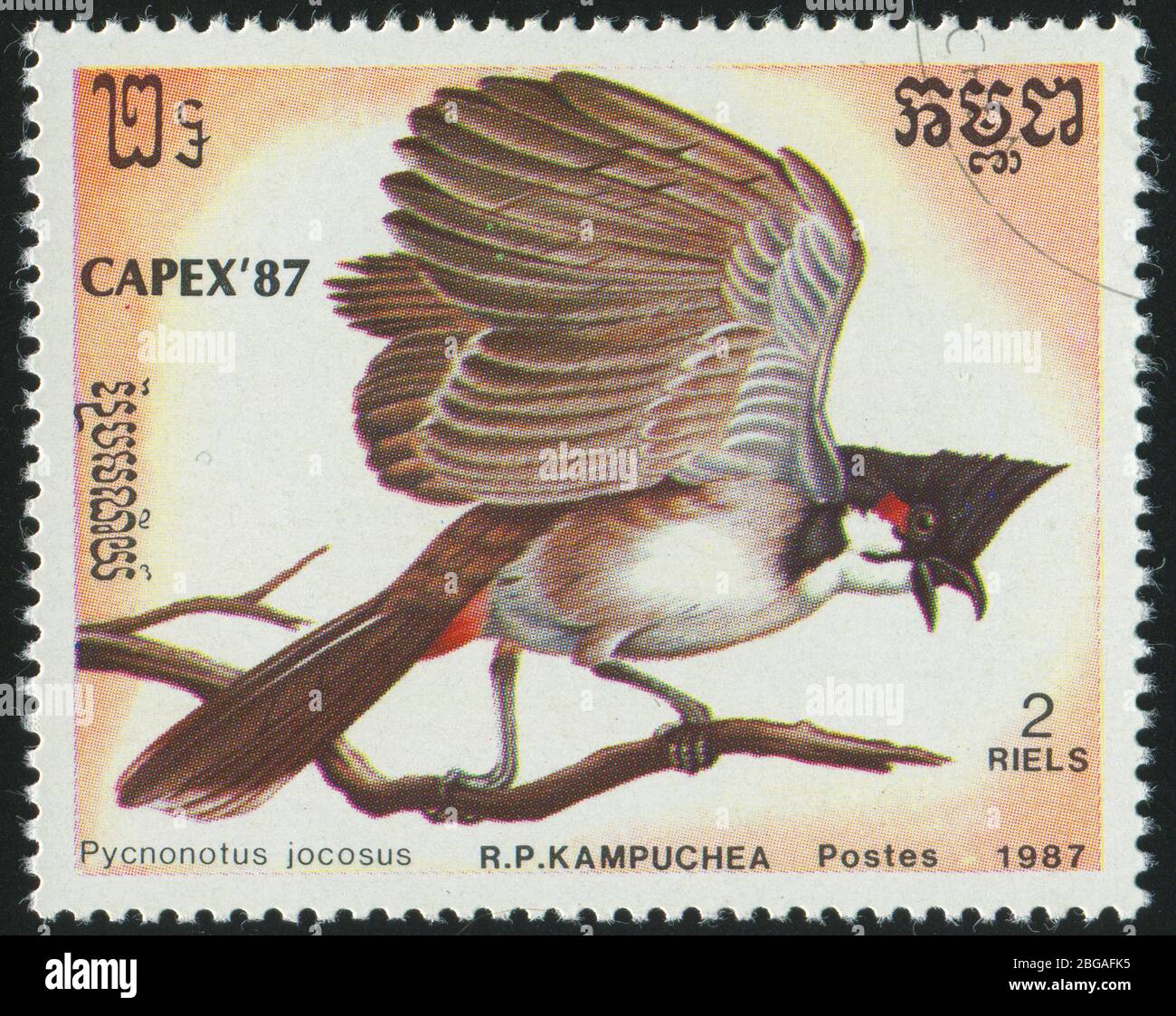 CAMBODIA - CIRCA 1987: stamp printed by Cambodia, shows bird Pycnonotus ...