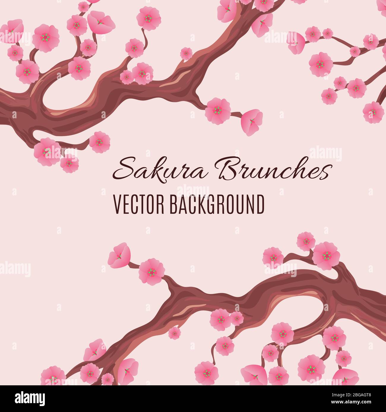 Pink spring blossom on Stock Vector Images - Alamy