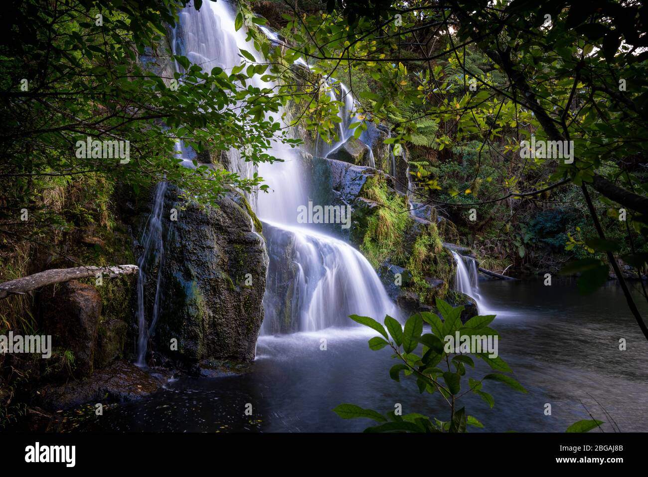 Owharoa Falls, Karangahake Gorge / Waihi / Kaimai Mamaku Conservation ...