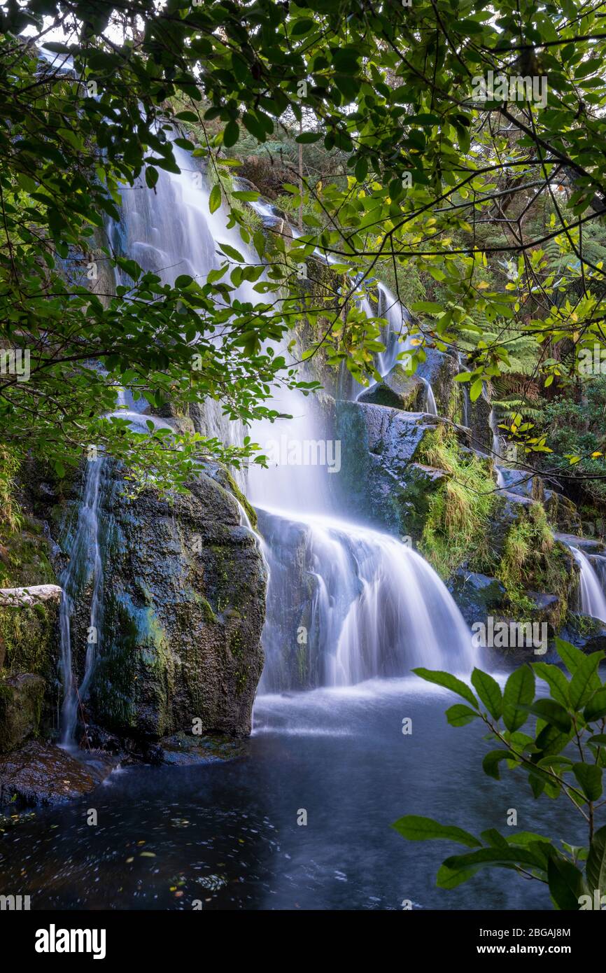 Owharoa Falls, Karangahake Gorge / Waihi / Kaimai Mamaku Conservation ...