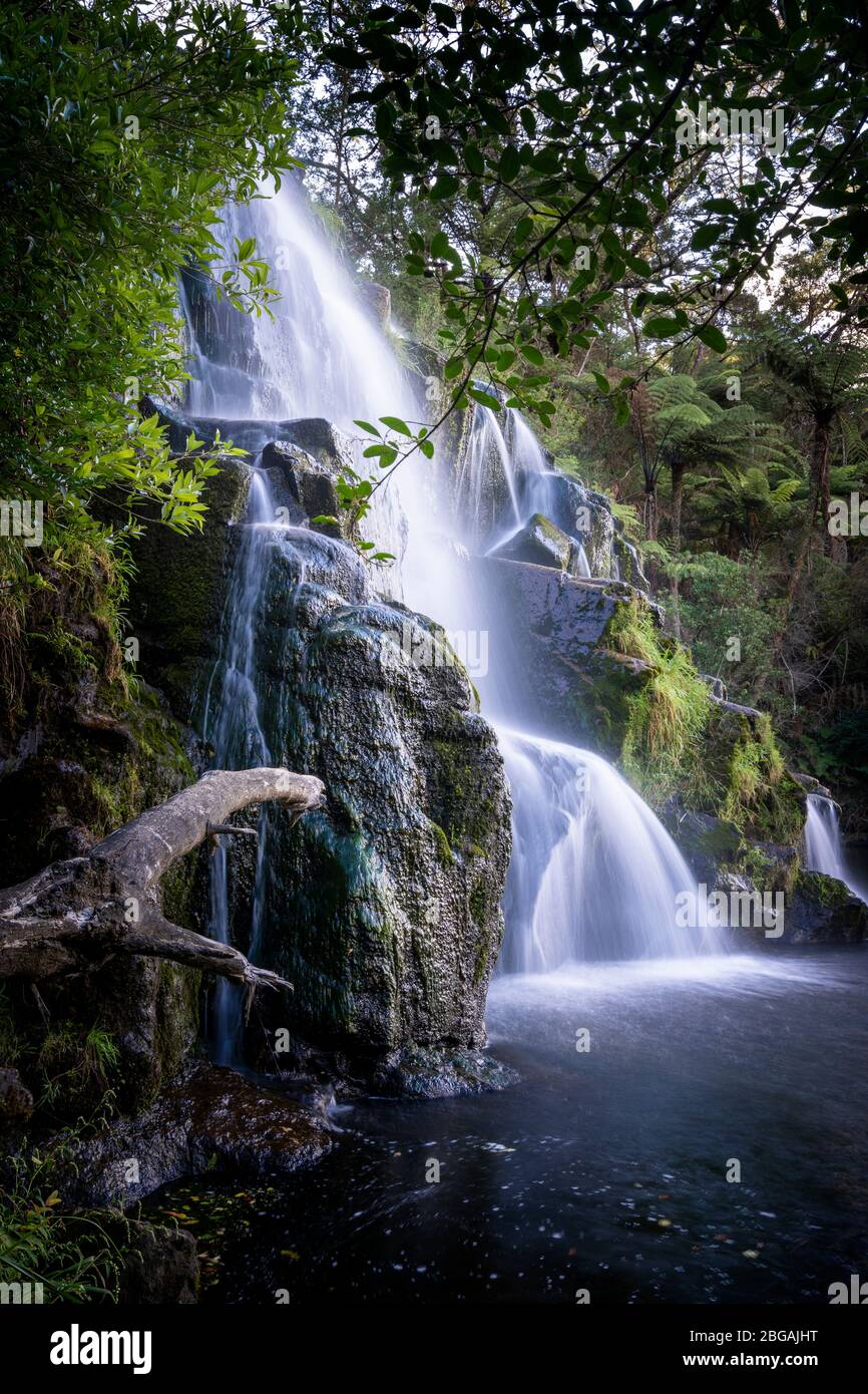 Owharoa Falls, Karangahake Gorge / Waihi / Kaimai Mamaku Conservation ...