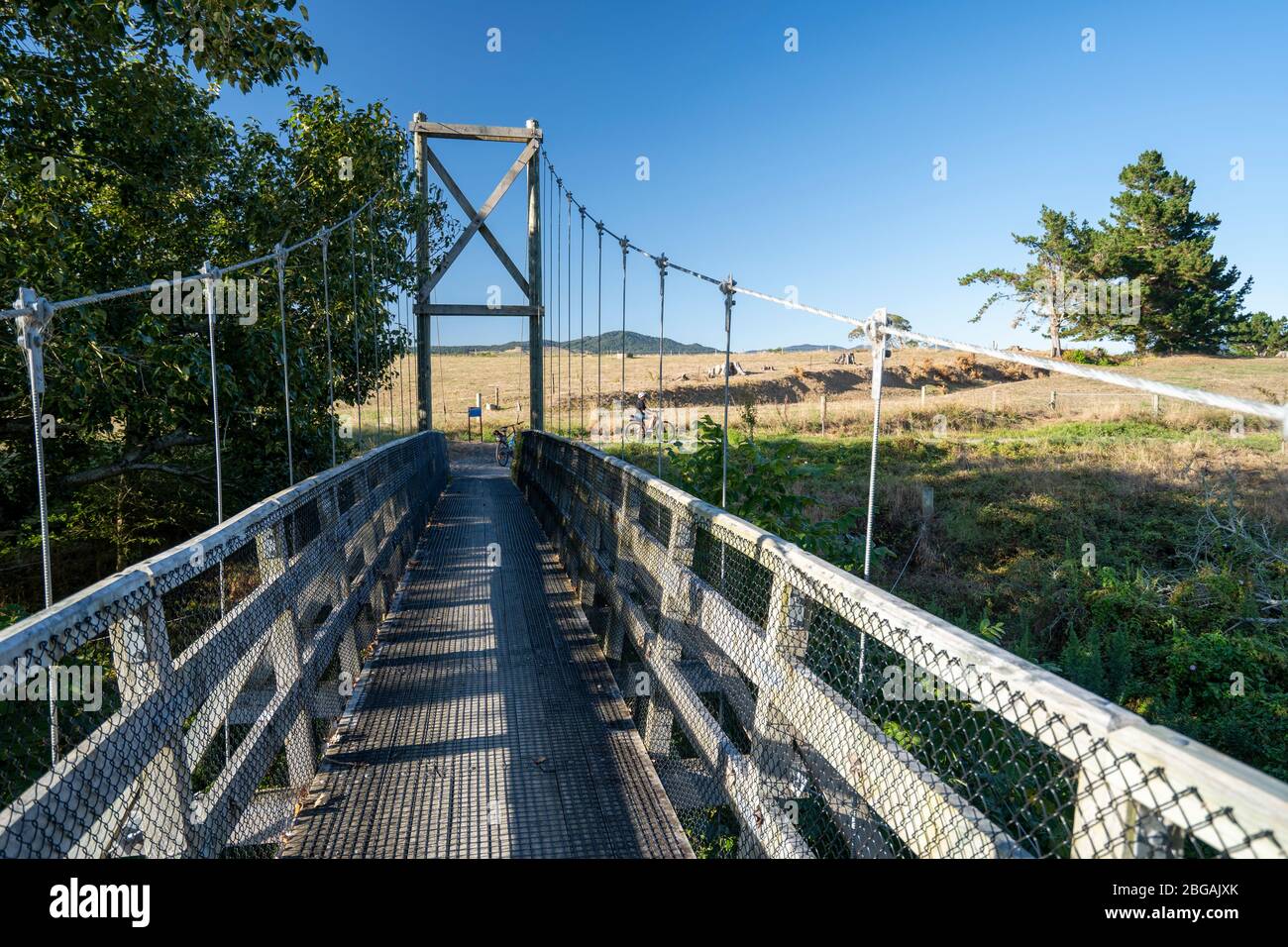 Suspension bridge over Ohinemuri River on Hauraki Rail Trail, North ...