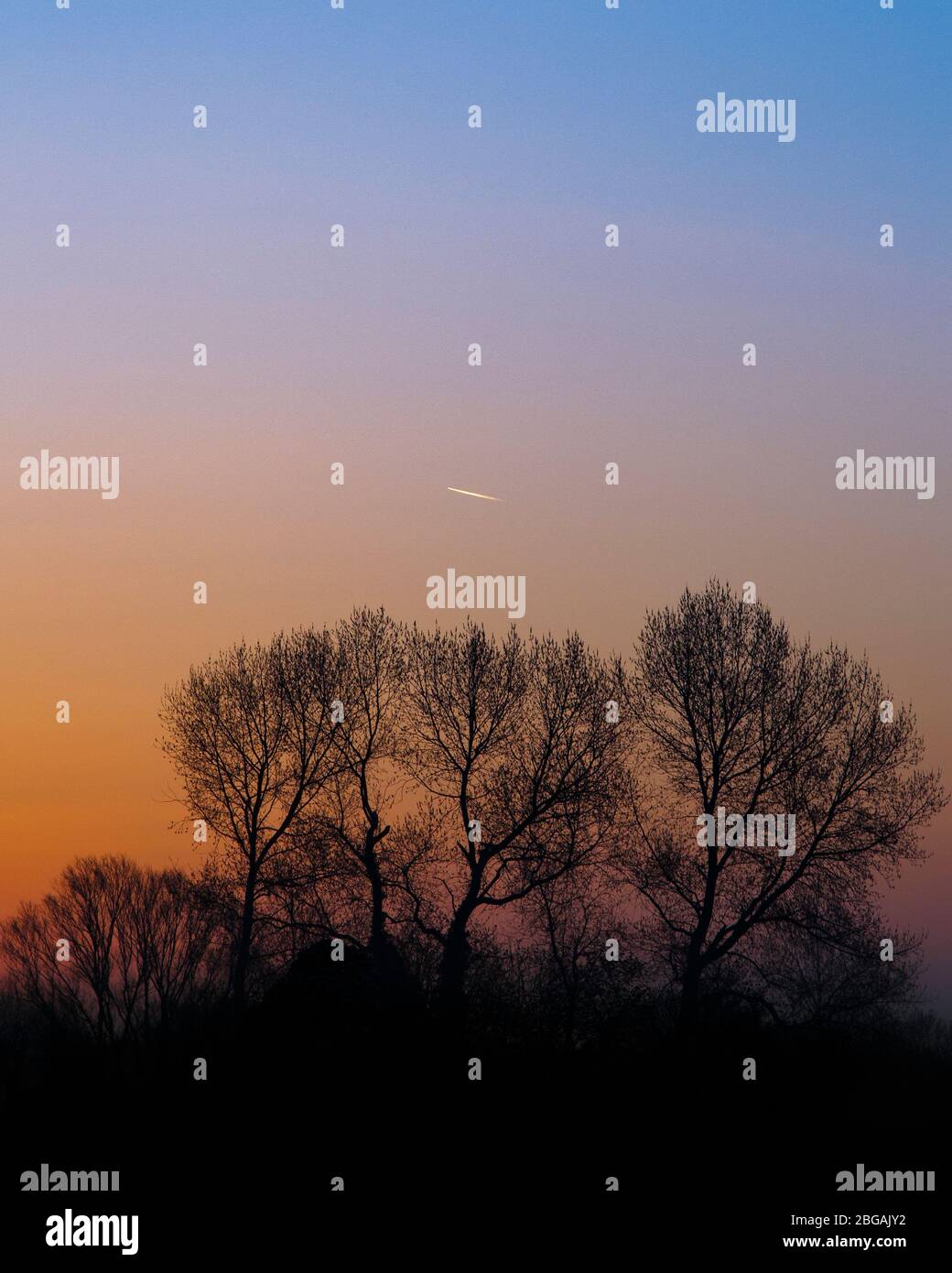 Mist field norfolk england hi-res stock photography and images - Alamy