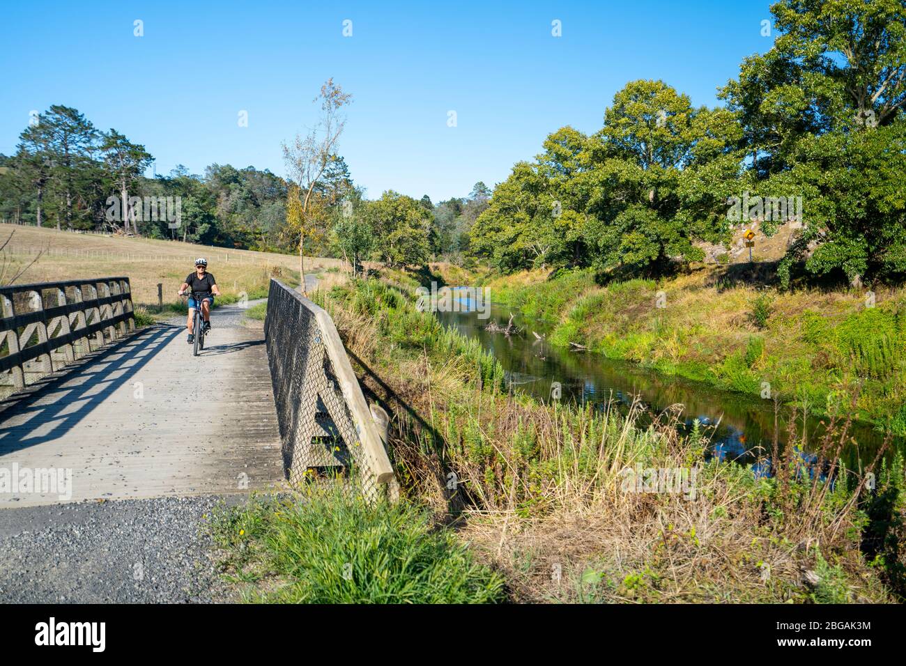 Bridge over Ohinemuri River on Hauraki Rail Trail, North Island, New ...
