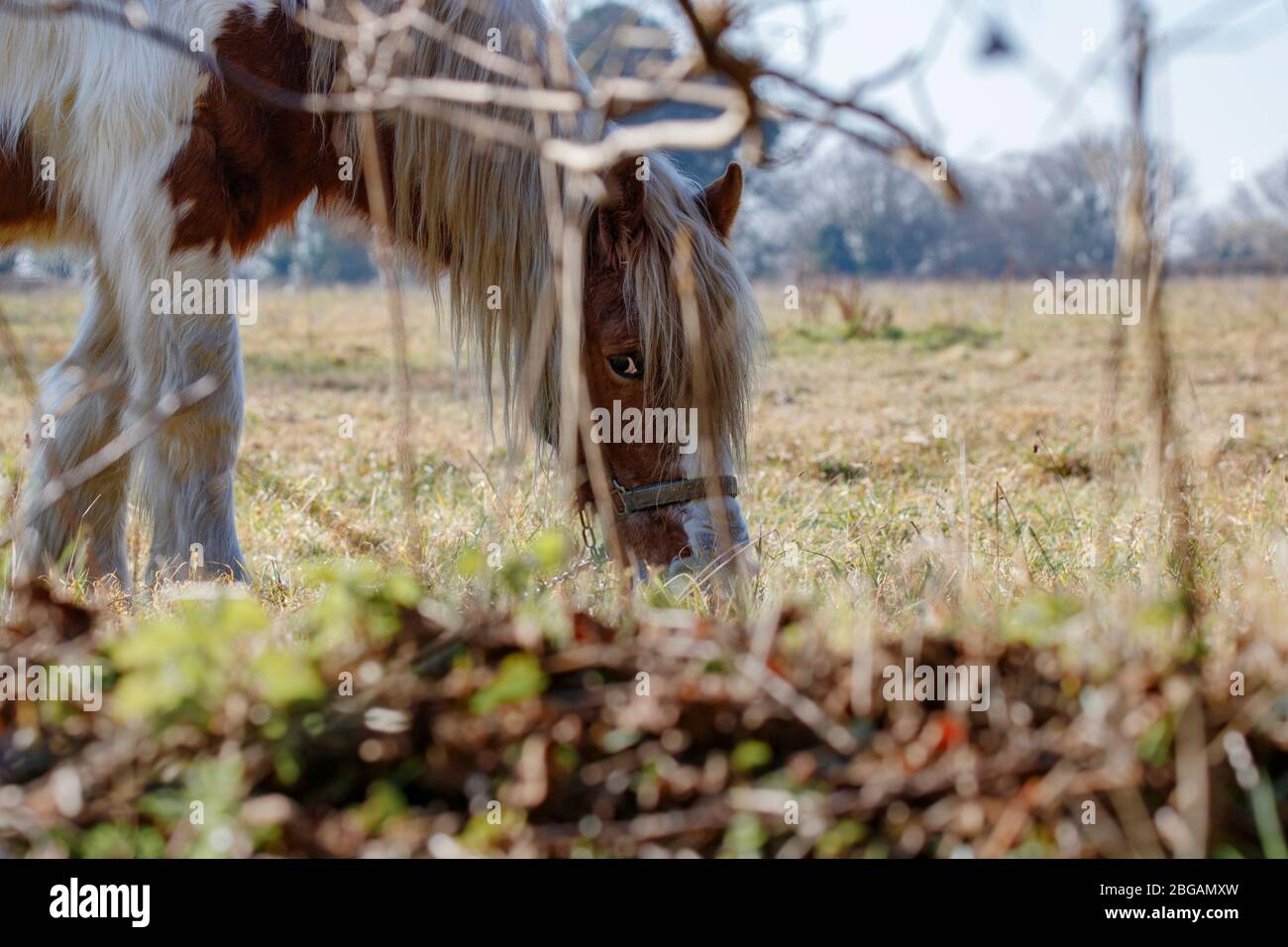 Low point side view hi-res stock photography and images - Alamy